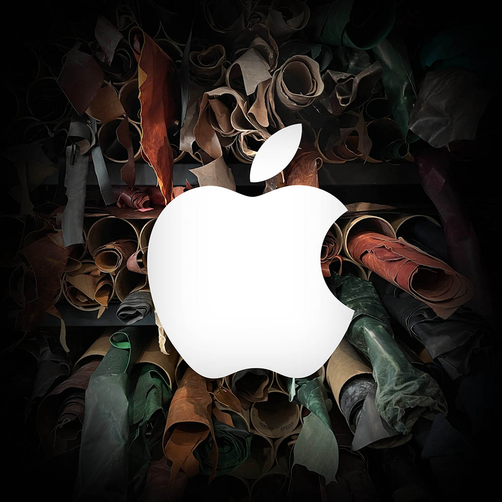 Apple Products – Form Function Form